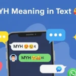 W/E Meaning in Text Uses with Examples 2026