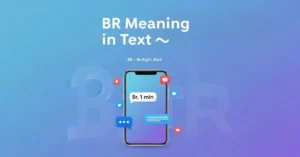WDF Meaning in Text Uses with Examples in 2026