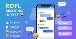 WDF Meaning in Text Uses with Examples in 2026